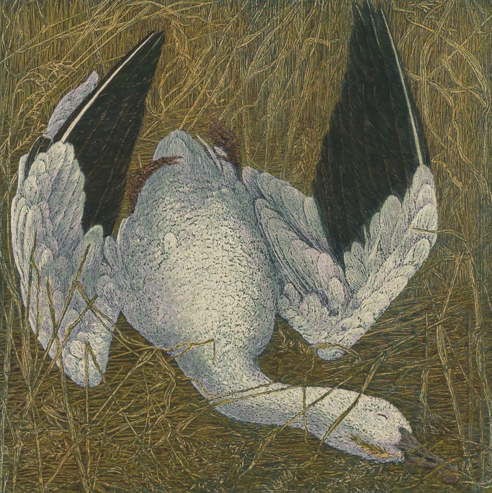 Dead Snow Goose III | Smithsonian American Art Museum