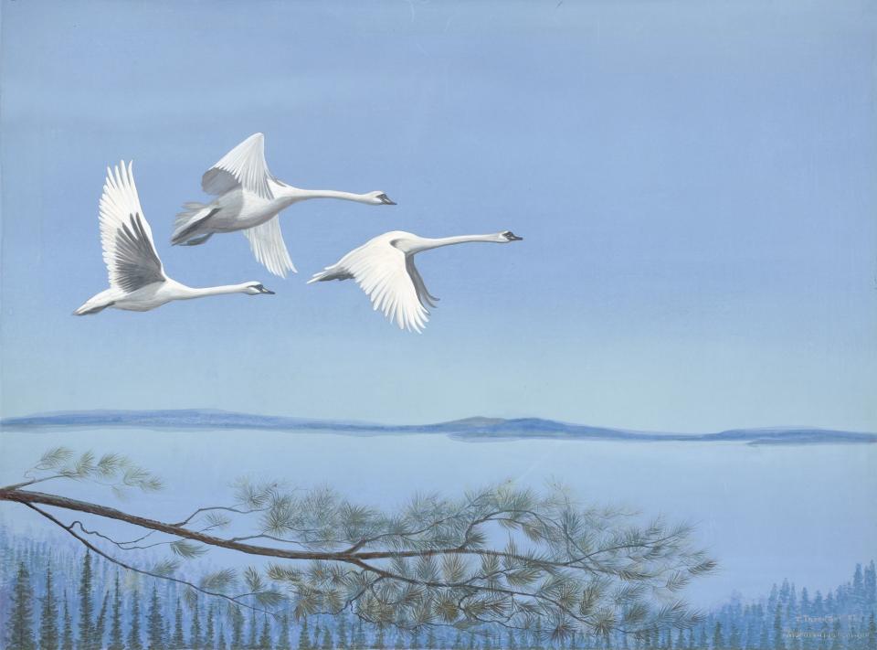 Swan in the Land of the Sky Blue Water | Smithsonian American Art Museum
