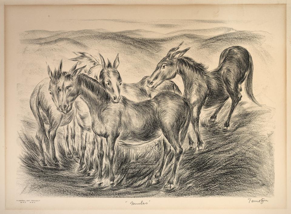 Mules | Smithsonian American Art Museum