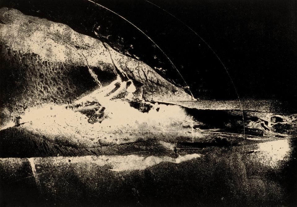 Sea Forms | Smithsonian American Art Museum