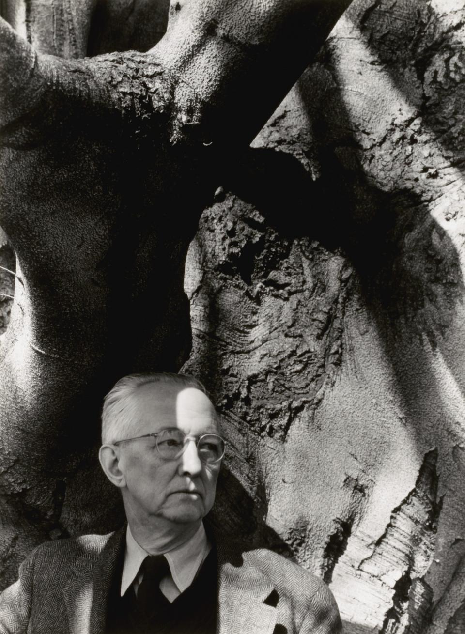 Charles Sheeler and His Favorite Beech Tree | Smithsonian American Art ...