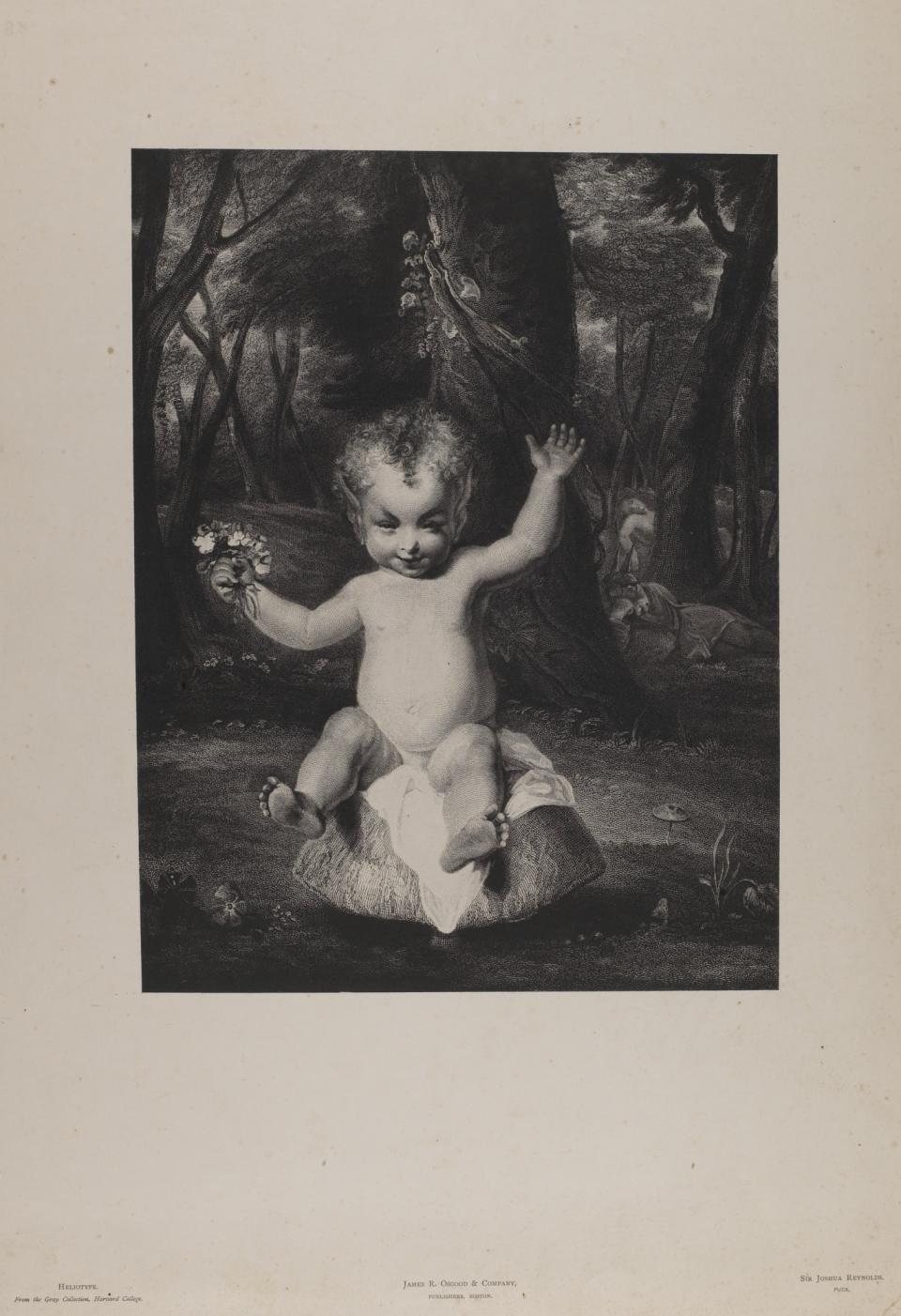 Puck | Smithsonian American Art Museum