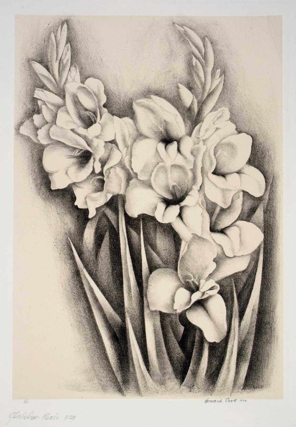 Gladiola | Smithsonian American Art Museum