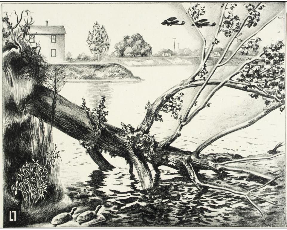 Fallen Tree | Smithsonian American Art Museum