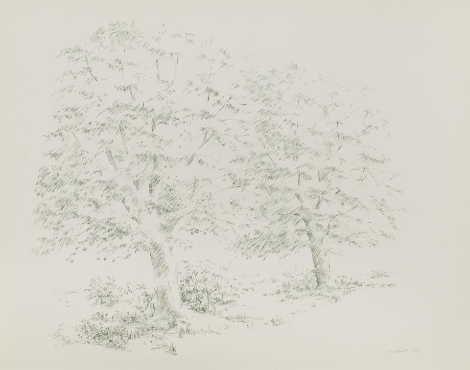 Two Trees | Smithsonian American Art Museum