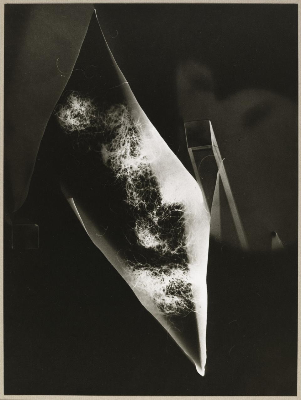 Rayograph | Smithsonian American Art Museum