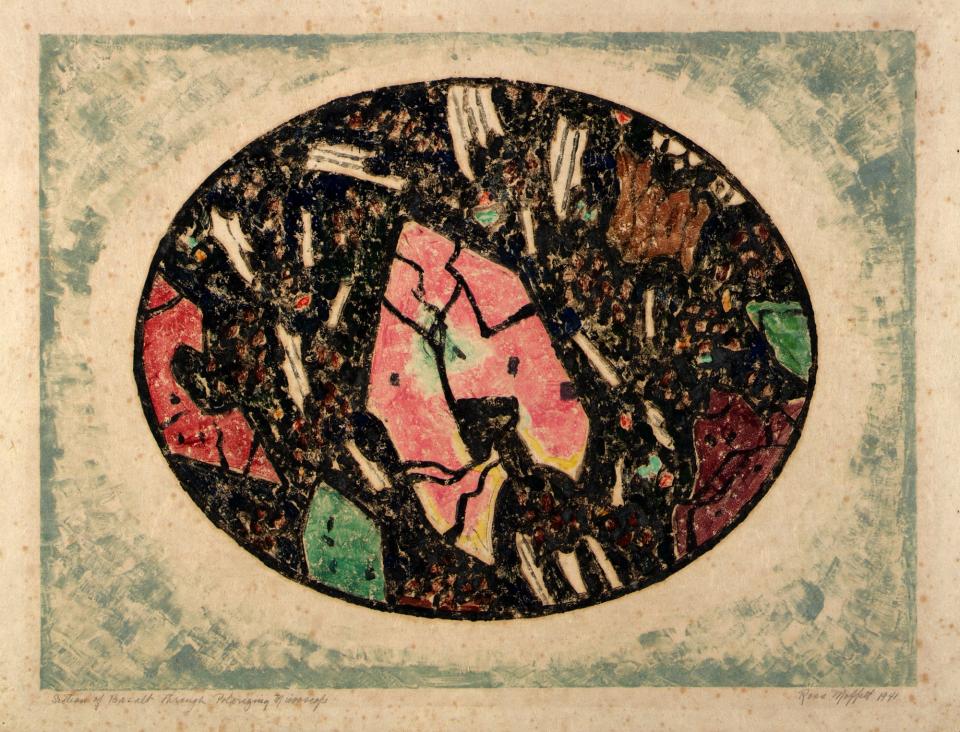 Section of Basalt through Polarizing Microscope | Smithsonian American ...