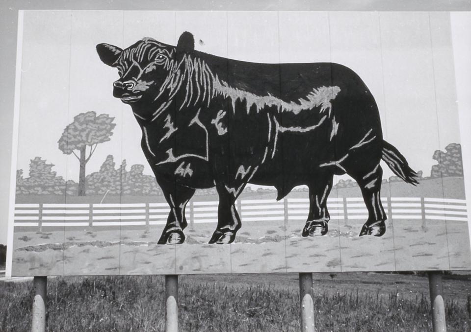 Cow Sign, from the Kansas Documentary Survey Project | Smithsonian ...