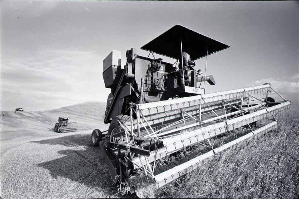 Untitled (Reaper) | Smithsonian American Art Museum