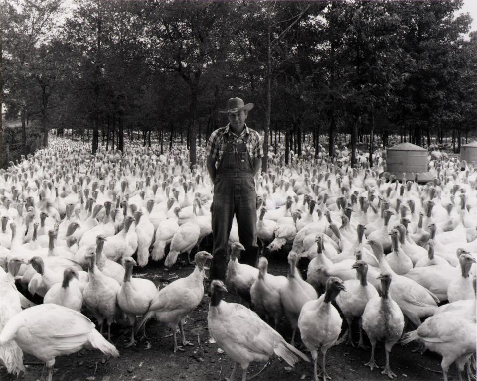 Clinton, Arkansas | Smithsonian American Art Museum