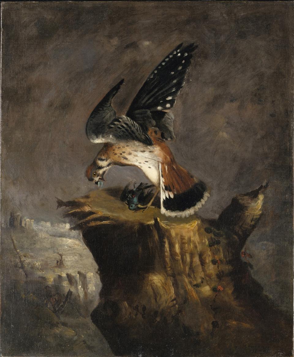 Vulture and Its Prey | Smithsonian American Art Museum