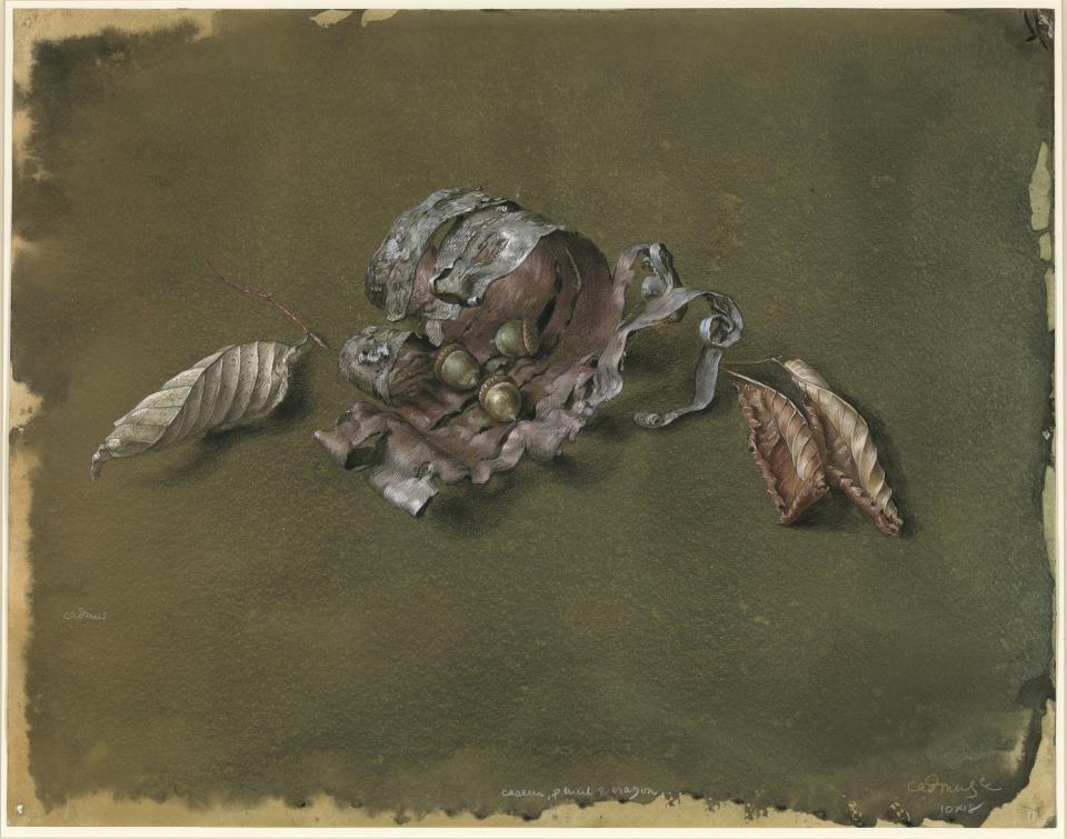 Green Still Life | Smithsonian American Art Museum