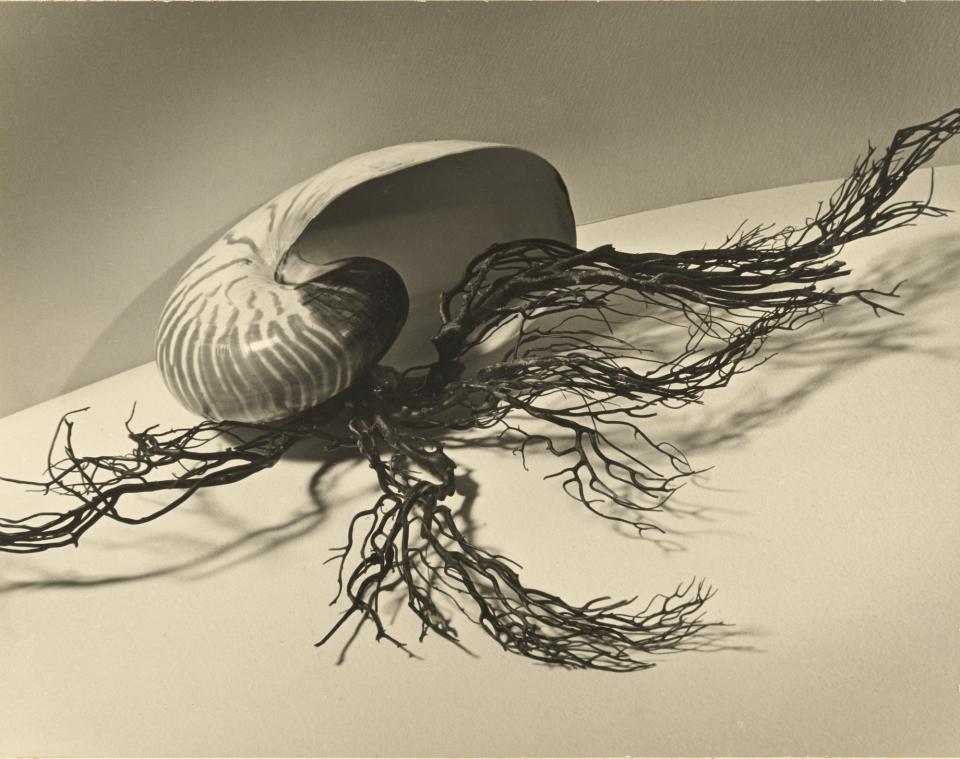 Castaways | Smithsonian American Art Museum