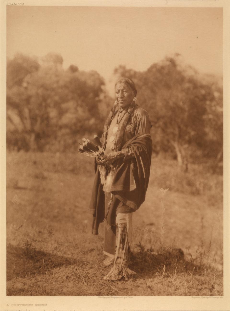 A Cheyenne Chief | Smithsonian American Art Museum