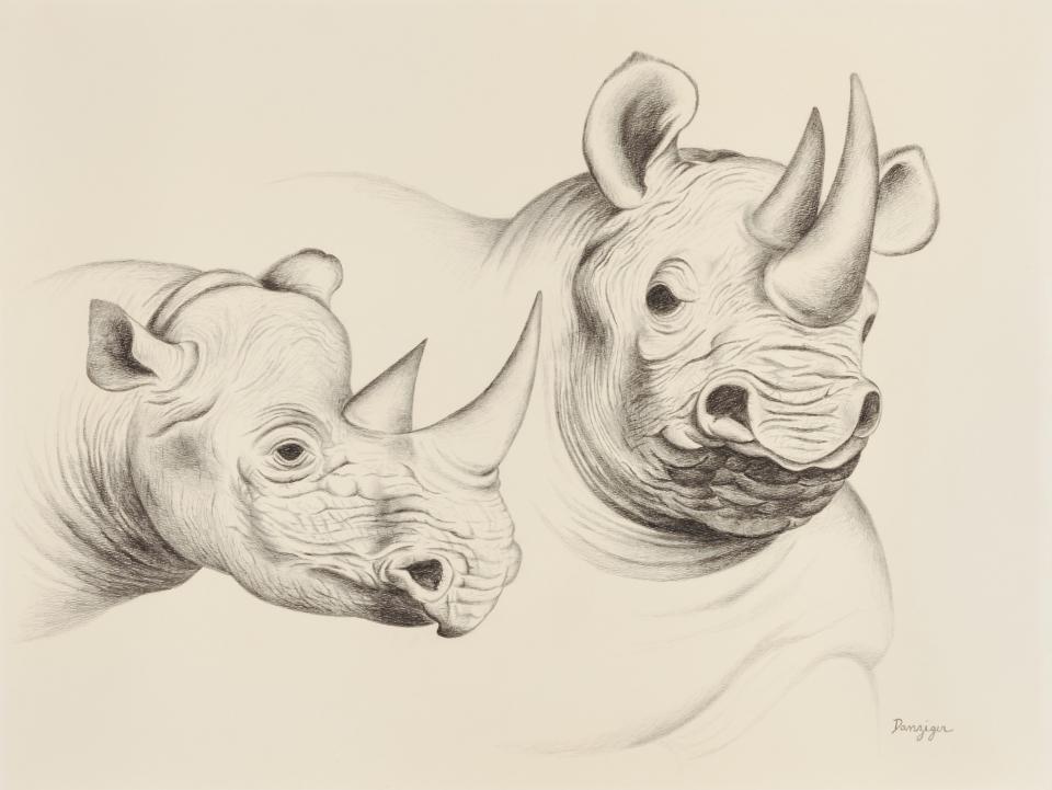 Two Rhinoceri | Smithsonian American Art Museum