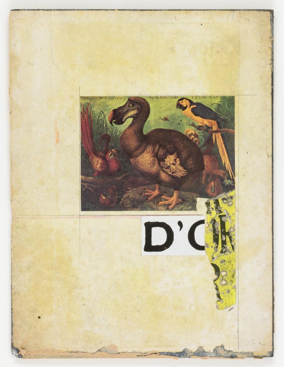 Untitled (Dodo and other creatures by C. Edwards) | Smithsonian ...