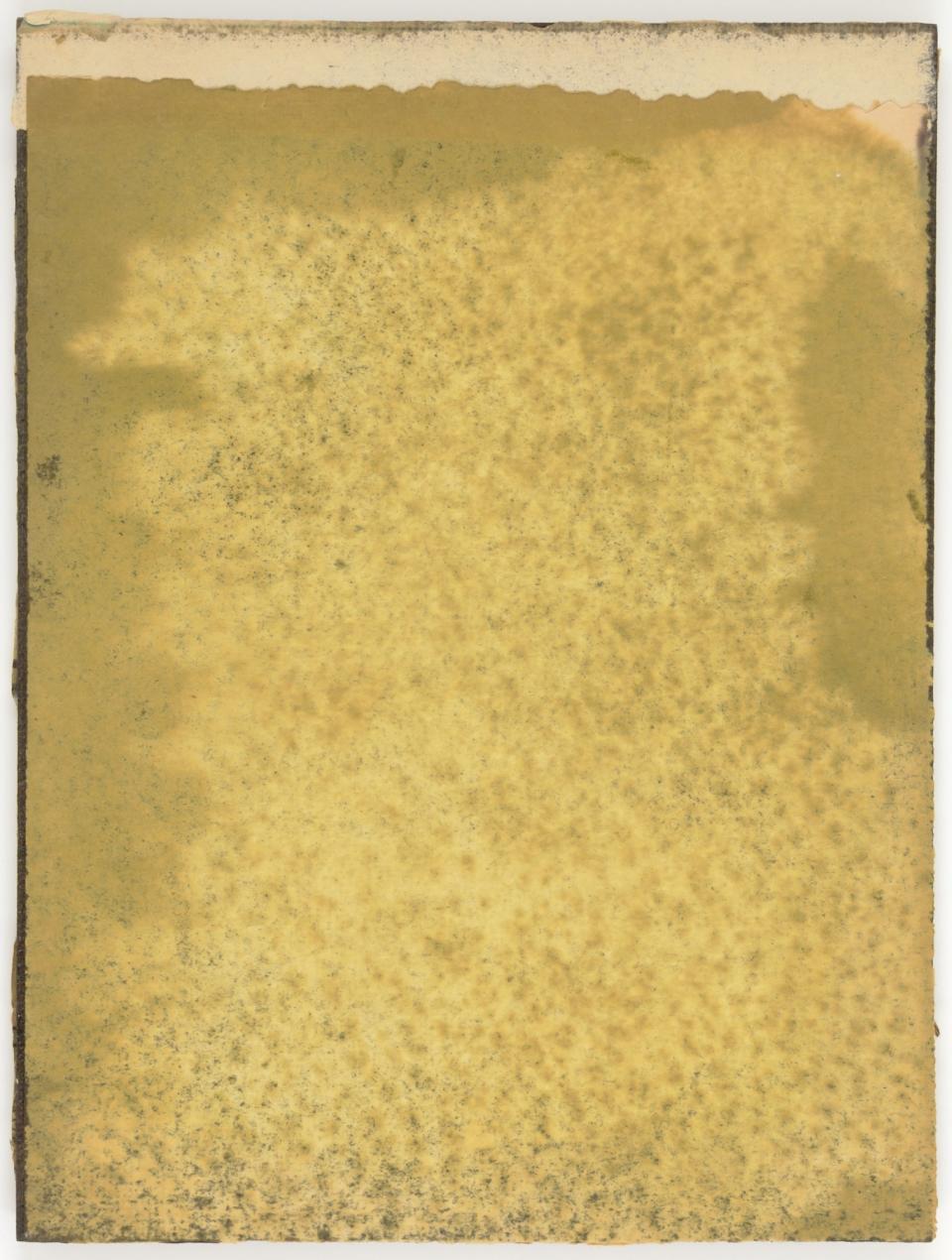 Untitled (manila paper stained yellow) | Smithsonian American Art Museum