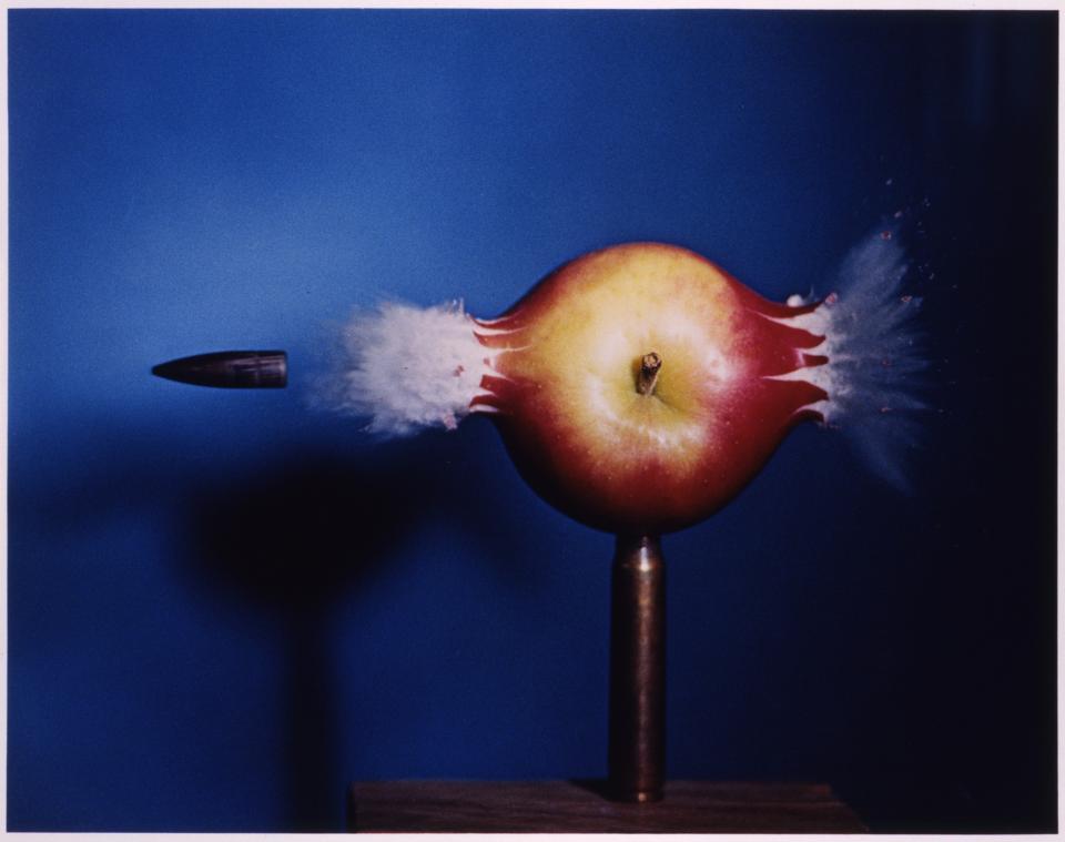 Bullet through Apple | Smithsonian American Art Museum