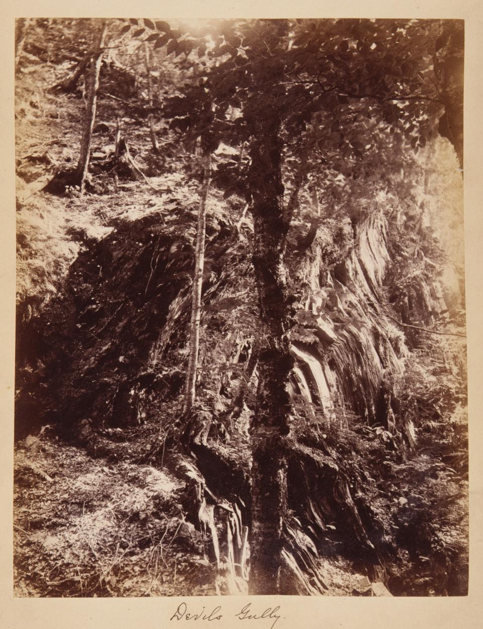 Devil's Gully, from the album Views of Charlestown, New Hampshire ...