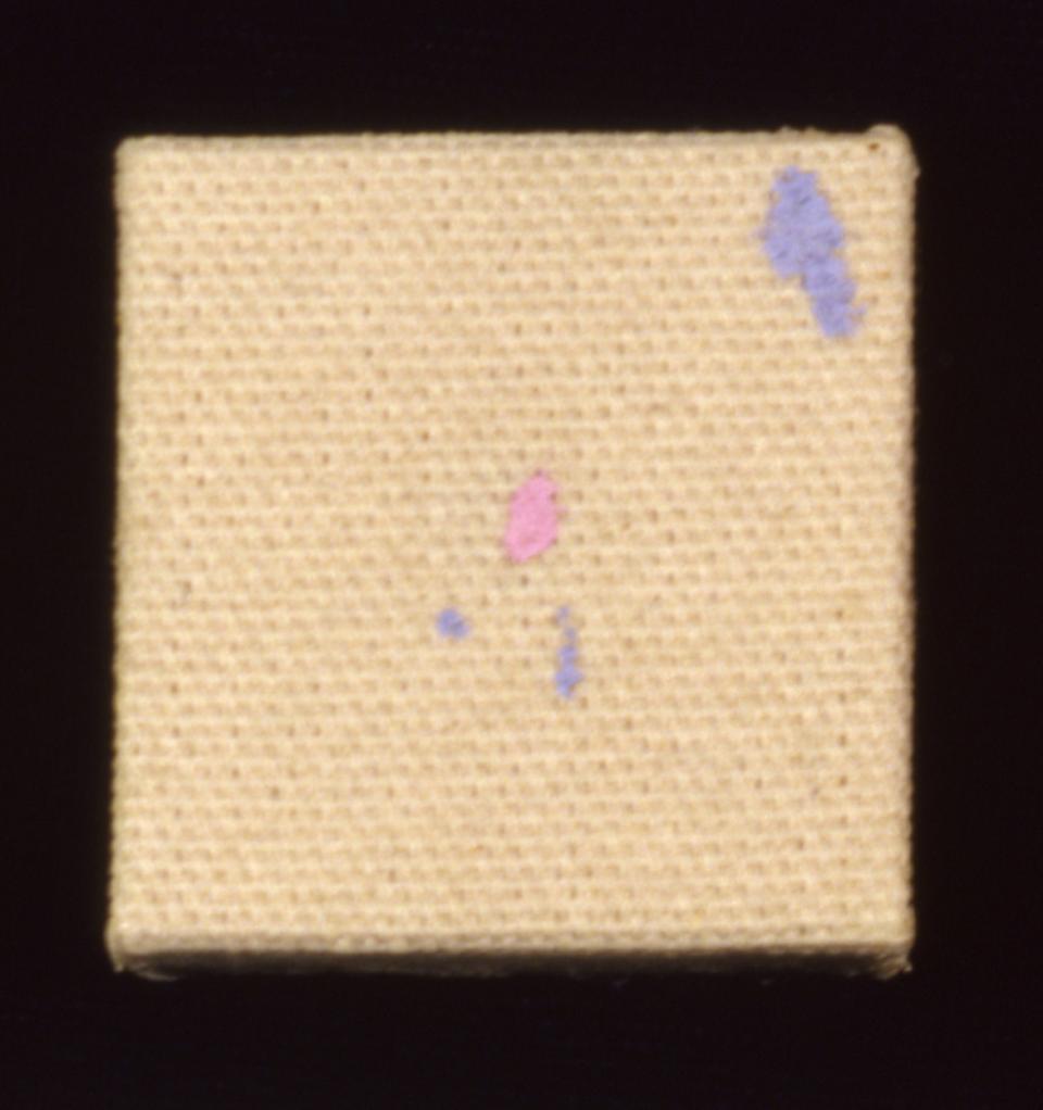 Micro-Painting | Smithsonian American Art Museum