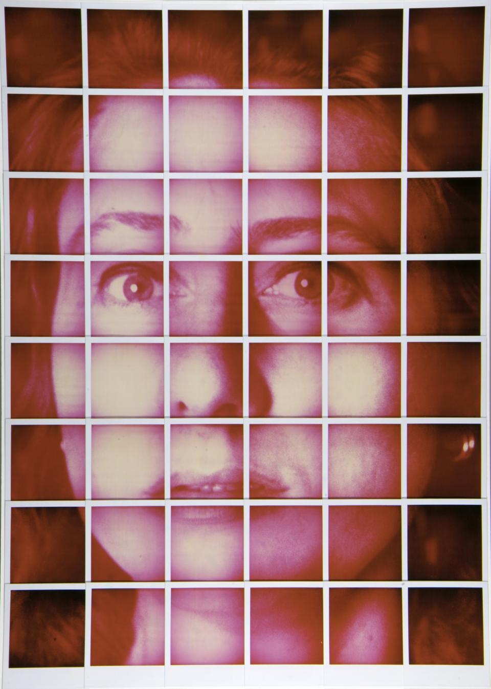 Pink, from the Emotions Series | Smithsonian American Art Museum