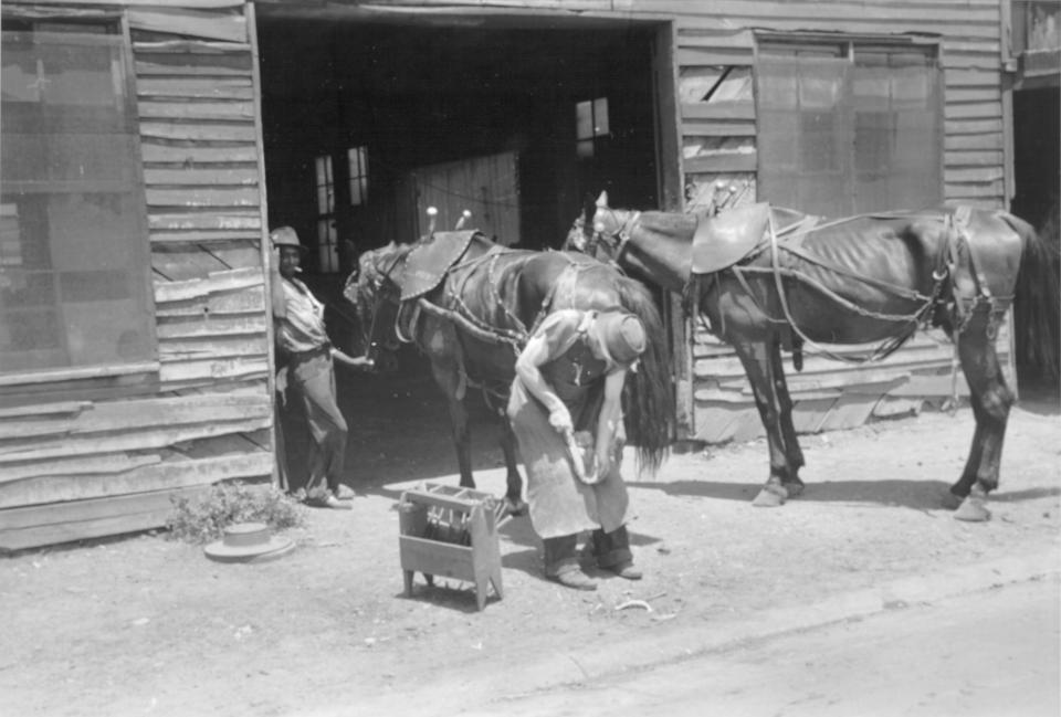 Mule getting shod | Smithsonian American Art Museum