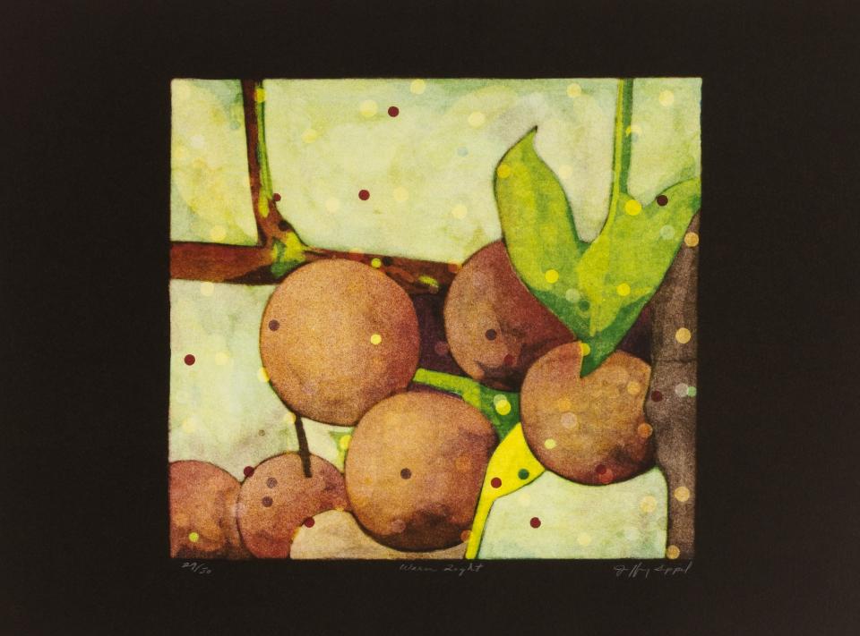 Warm Light, from the portfolio Drawn to Stone | Smithsonian American ...