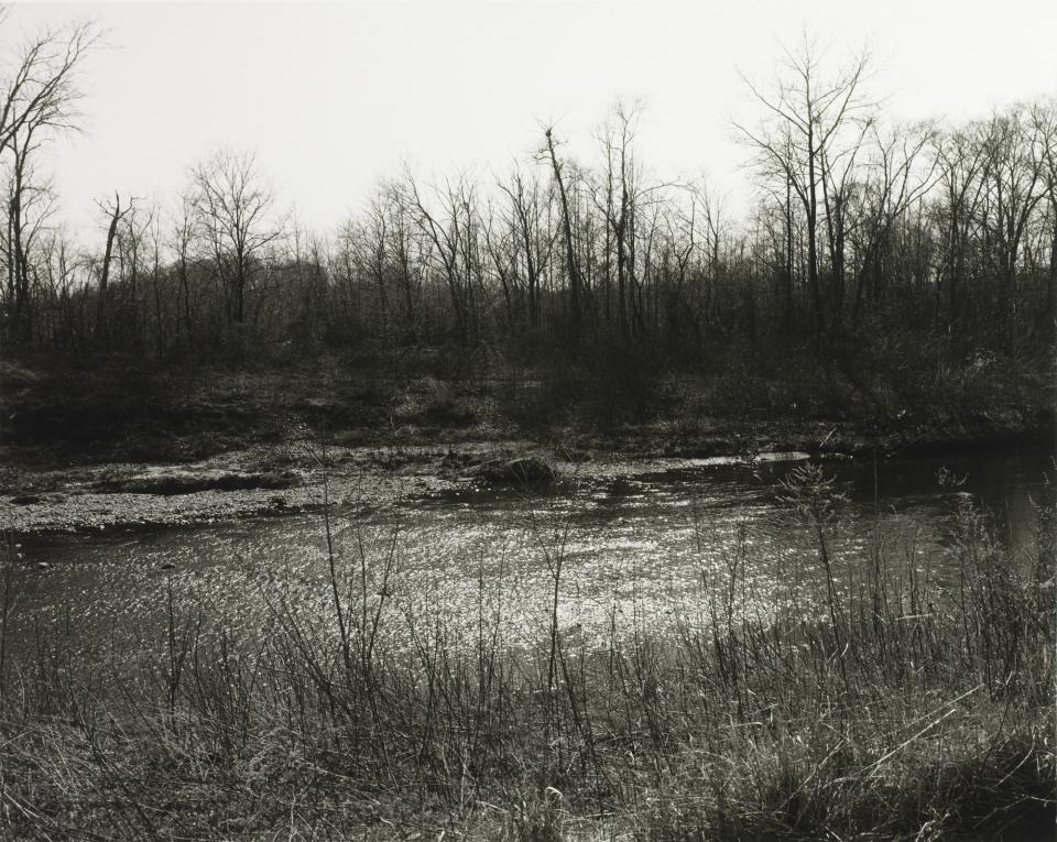 Untitled, from the series The Pond | Smithsonian American Art Museum