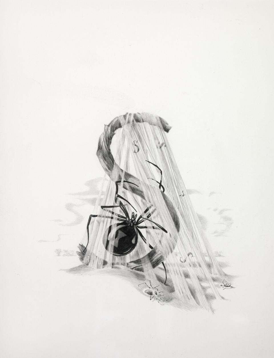 Spiders, from Lettered Creatures | Smithsonian American Art Museum